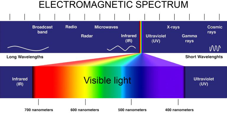 Fish vision: what do fish see underwater? - Off the Scale magazine
